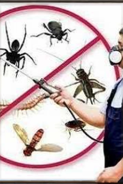 General Pest Control Service - Health Care Pest Management Services